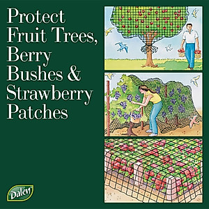 Dalen Bird X Protective Mesh Netting - Keep Birds and Pests Away from Your Garden – Non Toxic - Made in The USA - 28' x 28'