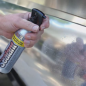 Flitz Ceramic Spray Sealant and Paint Protectant: Shine, Protect + Seal Clear Coat, Plastic,1 Application Lasts up to 12 Months, Made in USA