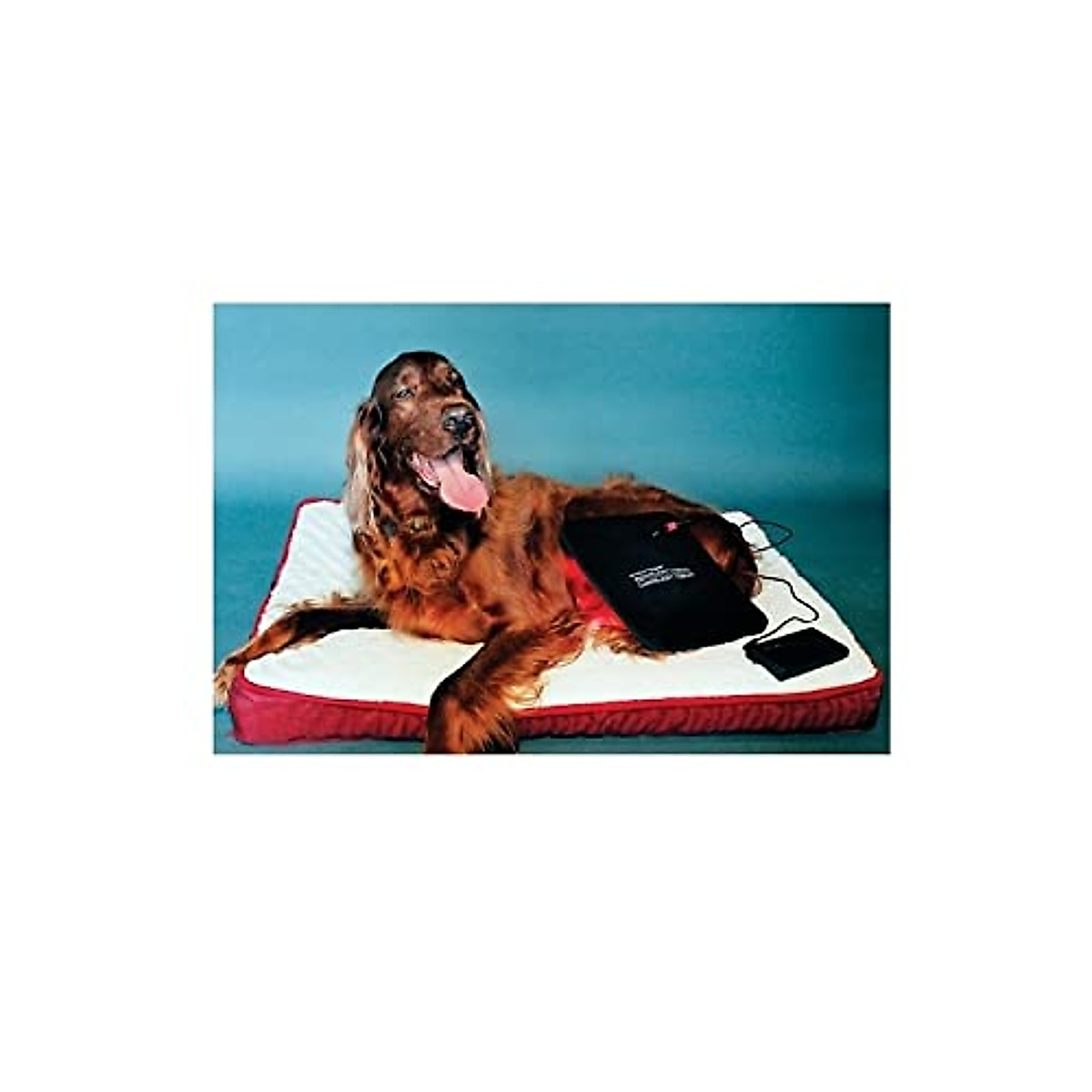 Gospel's Medium Light Therapy Pad with Case