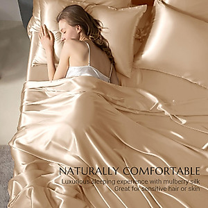 THXSILK Mulberry Silk Pillowcase, Champagne, Queen, 19 Momme, with Hidden Zipper, 20"