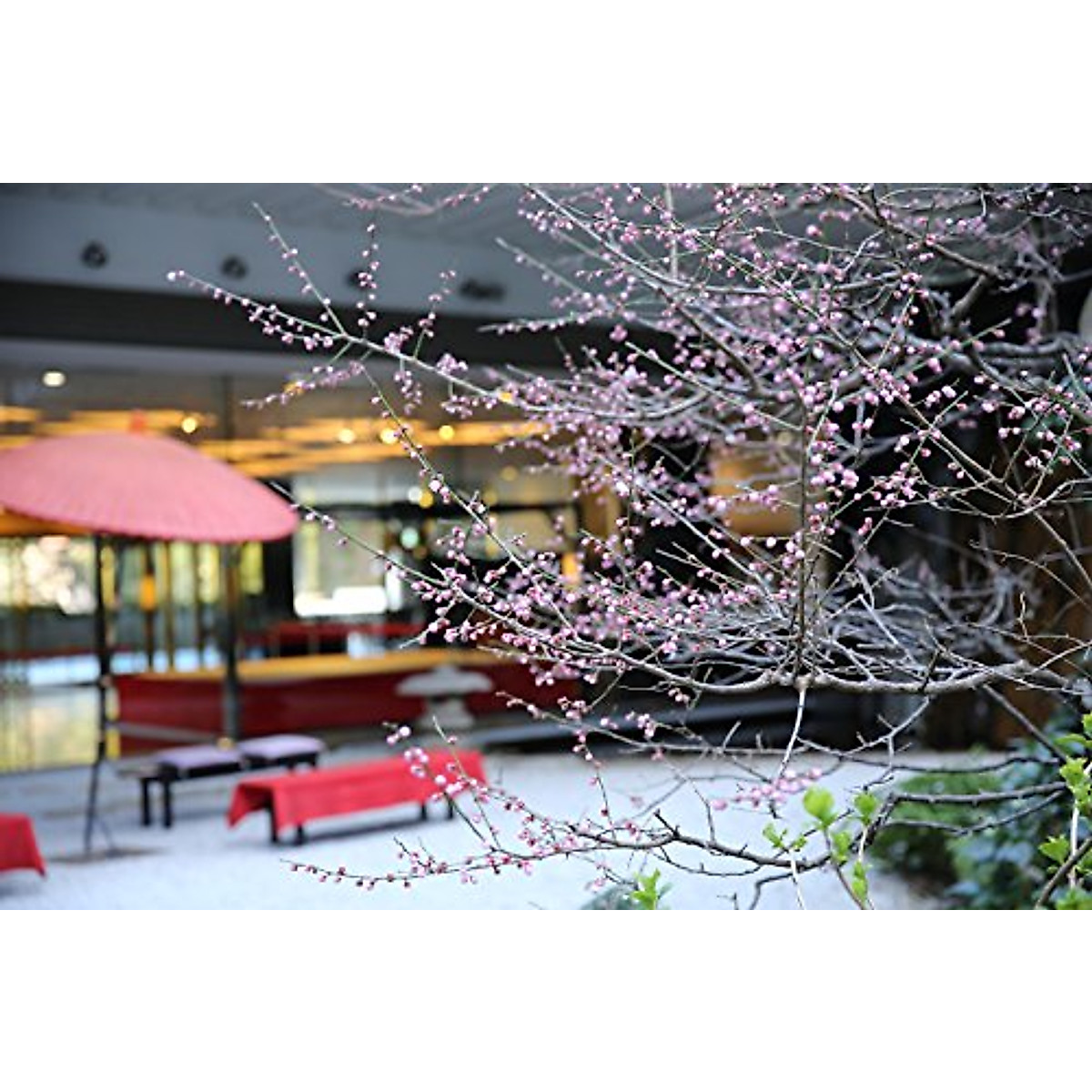 Canon DSLR camera EOS 5D Mark III body EOS5DMK3 [International Version, No Warranty]