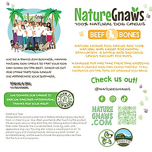 Nature Gnaws Beef Marrow Bones for Dogs 5-6" (2 Count) - Long Lasting for Aggressive Chewers and Large Dogs - Natural Dental Chews