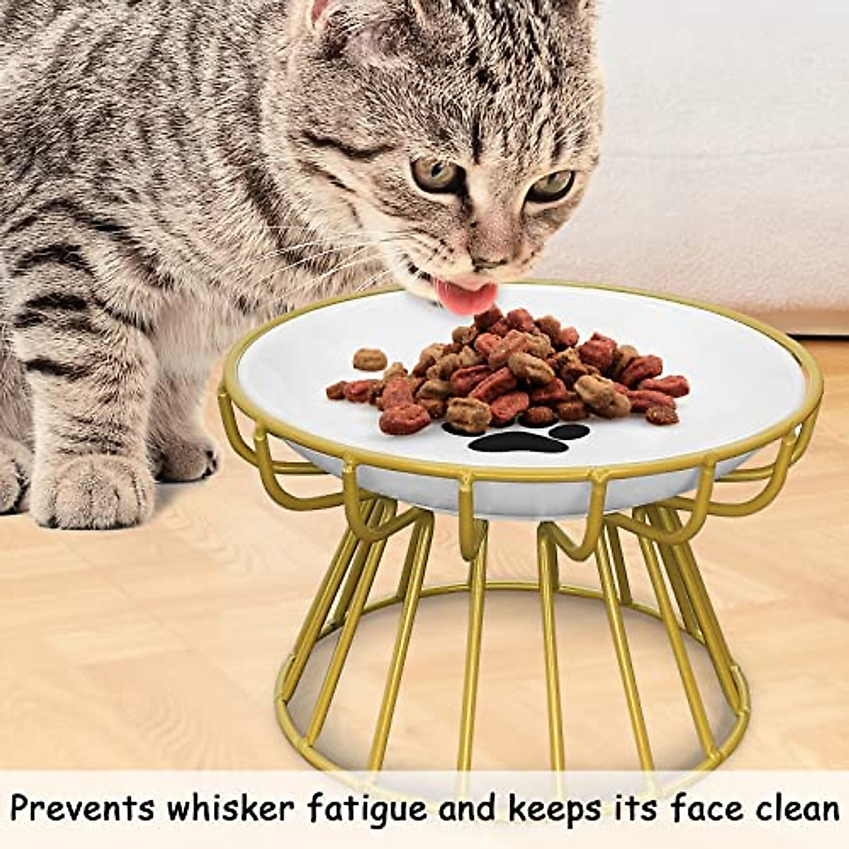 BNOSDM Raised Cat Dish Ceramic Shallow Cat Bowl with Gold Stand Elevated Pet Food Plate for Indoor Cat Kitten Small Dogs