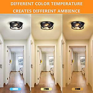 Feanron Farmhouse 2-Light Black Flush Mount Ceiling Light Fixtures, Industrial Vintage Metal Cage Closed to Ceiling Mount Lamp for Hallway Kitchen Bedroom 2 Pack, A19 LED Bulbs Included