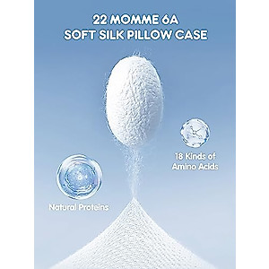 Mulberry Silk Pillowcase for Hair and Skin, SGMSILK 22 Momme Natural 6A Silk Pillow Case with Zipper Soft Texture, Single Sided Washable Pure Silk Pillow Cover(White, Standard 20"x26")