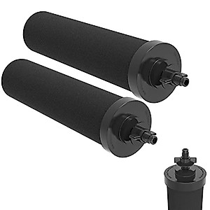 NSF/ANSI 372 Certified Water Filter, Replacement for Berkey® BB-9-2 Black Purification Elements and Berkey® Gravity Filter System, Pack of 2