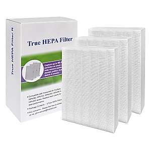 R True Hepa Filters Compatible Honeywell HPA300, HPA200, HPA100, HPA090, HRF-R3, HRF-R2 & HRF-R1(3 Packs) by FilledwithLove