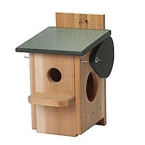 FMS Ravenox Sparrow and Starling Eliminator Trap | Starling Trap, Sparrow Trap | House Sparrow Trap for Eliminating Invasive, Non-Native Sparrows | Bird Trap with Sparrow Trap Door