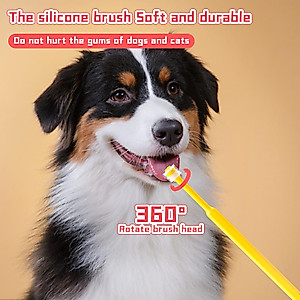 Mozeat Lens Small Cat & Dog Toothbrush, 2 Pack 360 Degree Soft Silicone Pet Toothbrush Cat Dental Care Dog Oral Hygiene Deep Clean Pet Teeth Cleaning Kit (Small Size, Orange/Purple)