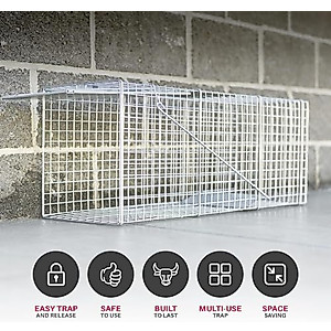 Heavy Duty Catch Release Medium Live Humane Animal Cage Trap for Rats, Squirrels, Chipmunks, Weasels and Other Similar Sized Animals 24x7x7