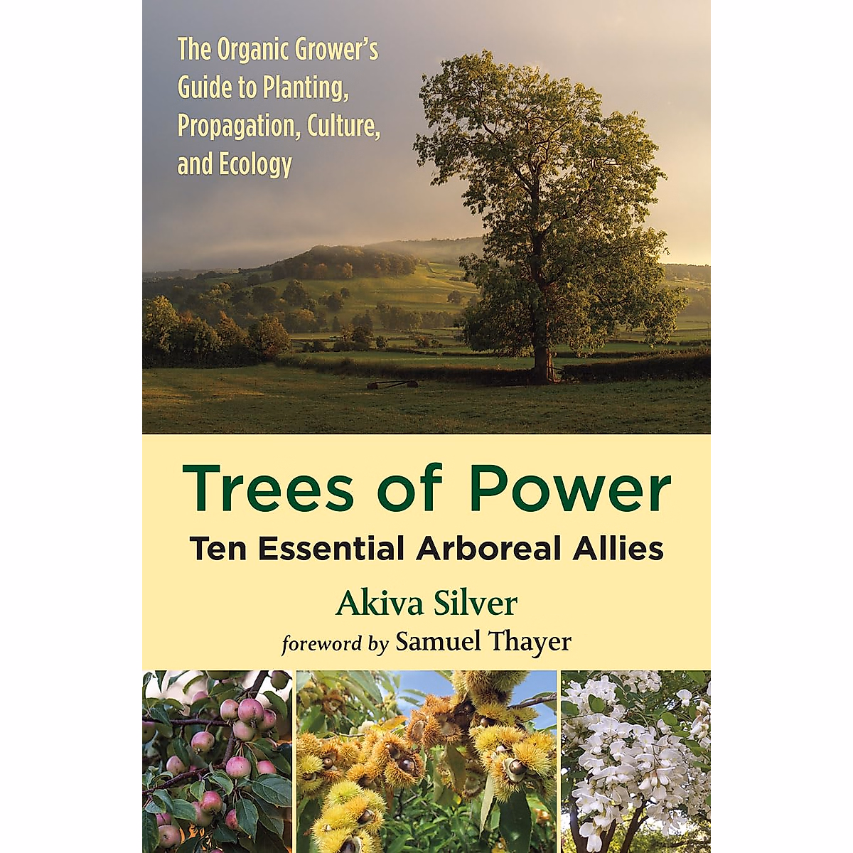 Trees of Power: Ten Essential Arboreal Allies