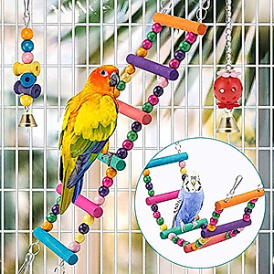 Bird Parakeet Toys,12 Pack Hanging Bell Pet Bird Cage Hammock Swing Toy Hanging Toy for Small Parakeets,Conure, Cockatiel, Mynah, Love Birds, Finches