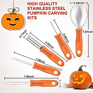 Pumpkin Carving Kit Tools Halloween, CHRYZTAL 13PCS Professional Heavy Duty Carving Set, Stainless Steel Double-side Sculpting Tool Carving Knife for Halloween Decoration Jack-O-Lanterns