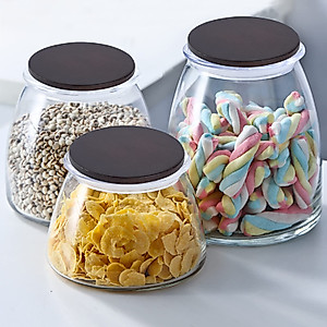 10 Pack Oui Yogurt Jar Lids,Oui Yogurt Bamboo Jar Lids Set,Bamboo Wood Lids Fit Oui Jar Lids with Silicone Sealing Rings 1 Sheets Labels Compatible with Oui Yogurt Jars (Walnut)