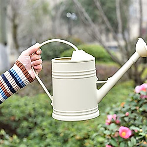 Watering Can for Indoor Plants, Flower Watering Can Outdoor for House Plants Garden Flower, Small Watering Can Indoor Long Spout with Sprinkler Head (1/2 Gallon, Ivory)