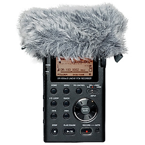 Tascam WS-11 Windscreen for DR-Series Handheld Recorders