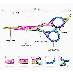 Hair Cutting Scissors, Barber Scissors-Elite Unity 6.5 inch Professional Hair Scissors-Razor Edge Sharp Scissors for Barber Kit, Haircut, Trimming, Men/Women.For Home and Salon Use. (Rainbow)