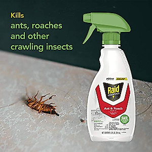 Raid Essentials Ant & Roach Killer Spray Bottle, Child & Pet Safe, Kills Insects Quickly, for Indoor Use, 12 oz