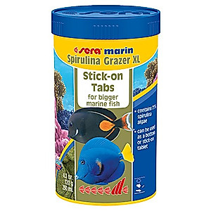 Sera 45017 Marine Spirulina Grazer, One Size