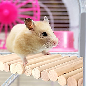 Hamster Wooden Pet Ladder Bridge: 3 Pieces Wooden Hamster Suspension Ladder Bridge, Bendable Cage Habitat Toy, Climbing Ladder & Fence Bundle for Hamster Chinchilla Mice Gerbil and Other Small Animals