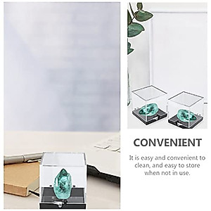 Cabilock Clear Specimen Display Cases 12pcs Plastic Mineral Specimen Storage Cases Square Sample Displaying Boxes Jewelry Organizer Tray