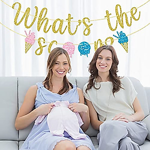 What's The Scoop Banner, Ice Cream Gender Reveal Banner, Baby Shower Decorations