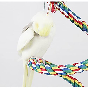 Bird Spiral Rope Perch, Cotton Parrot Swing Climbing Standing Toys, Bird Cage Toy for Lovebirds Budgies Tiels Green Cheek Conures Senegals Quaker Parakeets (S)