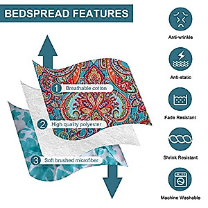Qucover Quilts Queen Size 3-Piece Paisley Bedspread Quilt Sets, Soft Cotton Microfiber Quilt Bedding Set with 2 Pillowcase, Lightweight Bedspread for Queen Beds, 90x98 Inch