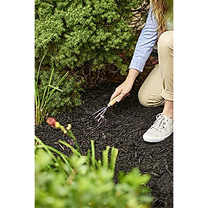 Scotts Evergreen, Flowering Tree & Shrub Continuous Release Plant Food 3 lb., 2-Pack