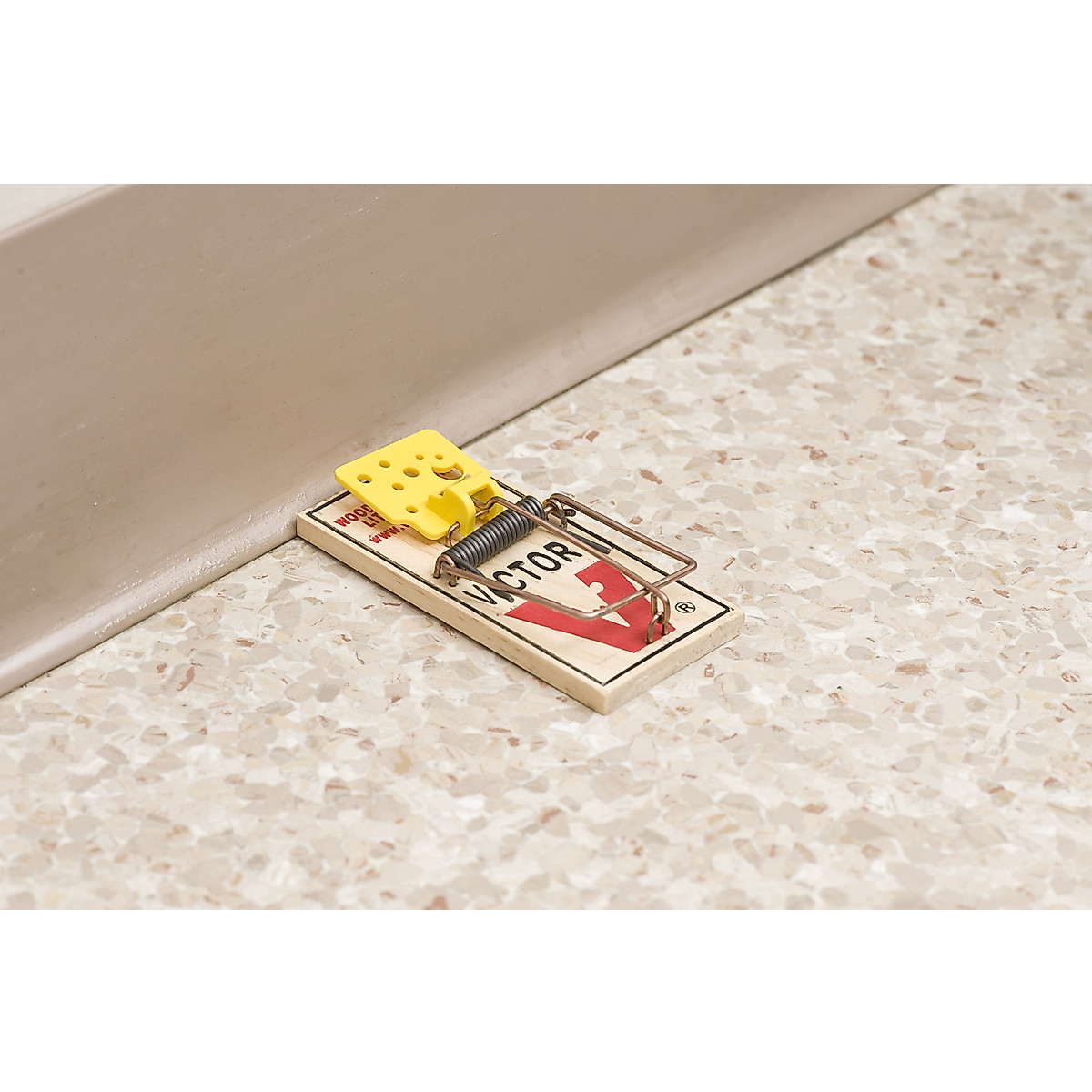 VICTOR Easy Set Mouse Trap - 2Pk