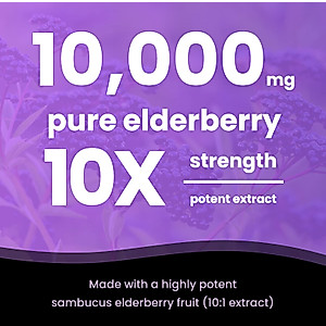 Elderberry Capsules | 10,000mg Sambucus Elderberry with Zinc and Vitamin C for Adults + Vitamin D3 5000 IU & Ginger | 5-in-1 Antioxidant Immune Support Supplement | 120 Elderberry Extract Capsules