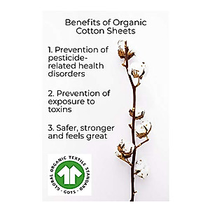 Organic Crib Sheets (2 Pack) - 100% Organic Jersey Cotton Fitted Crib Sheets for Standard Crib and Toddler Mattresses |Star and Bear Print | (Grey, Yellow, White)