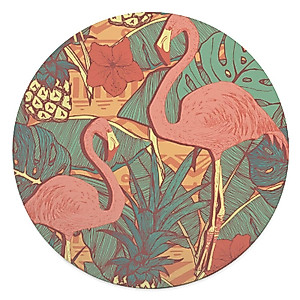 LAKIMCT Vintage Flamingo Birds Round Soft Baby Blankets for Boys Girls, Newborn Blanket for Suitable for Swaddling Sleep Stroller Cover Nursery Blanket, 35 Inch