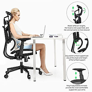 Ergonomic Office Chair, High Back Mesh Desk Chair with Liftable Backrest Armrest, 3D Adjustable Lumbar Support Headrest Computer Executive Chair