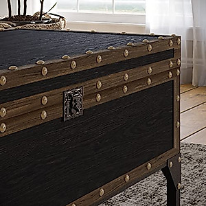 Drifton Travel Trunk Cocktail Table