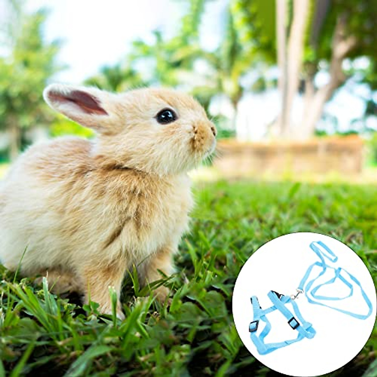 TEHAUX Pet Rabbit Harness Leash Soft Rabbit Harness and Leash Pet Rope Small Animal Vest Accessories for Walking/Running/ Jogging Outdoor Random Color