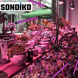 JSYBOY Grow Lights for Indoor Plants LED Grow Light for Seed Starting with Red Blue Spectrum, 3/9/12H Timer, 10 Dimmable Levels & 3 Switch Modes, Adjustable Gooseneck Suitable for Various Plant