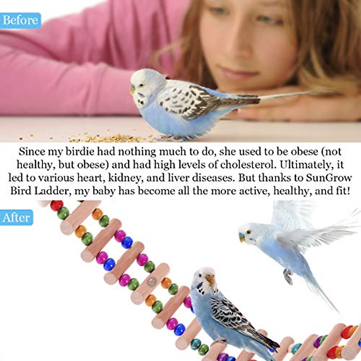 SunGrow Bird Ladder Bridge, 20 x 3 Inches, Raw Wood and Edible Dye, Suitable for Small to Medium Birds, 1 Piece