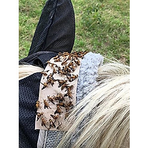 Trednot 12 Horsefly Patches/Sticky Horse Fly Traps
