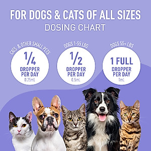 Nature's Synergy Melatonin and Hemp Oil for Dogs, Cats & Pets, 2 Pack, Calming Sleep Support, Omega Fatty Acids for Hip and Joint Support, Skin and Coat Health, Stress from Travel, Separation
