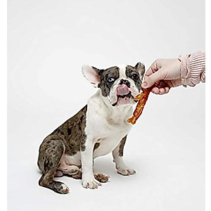 Hartz Oinkies Rawhide-Free Chicken-Wrapped Lasting Chew Bone Dog Treats, 12 Count, Highly Digestible, No Artificial Flavors or Colors