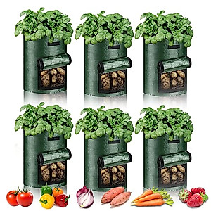 10 Gallon Potato Bag-6 Packs, Breathable Plant Bag with Windows and Handles for Tomatoes, Carrots, Fruits and Garden Pots (Dark Green)