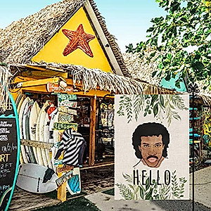Hello Funny Garden Flag Vertical Double Sized Personalized Flag Seasonal Home Yard Outdoor Decoration 12.5 x 18 Inch