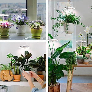 NOUKOW LED Plant Grow Lights for Orchid 10W Full Spectrum Plant Light with Auto ON & Off Timer 8/12/16H, 5 Dimmable Brightness, Height Adjustable Small Grow Lights for Indoor Plants