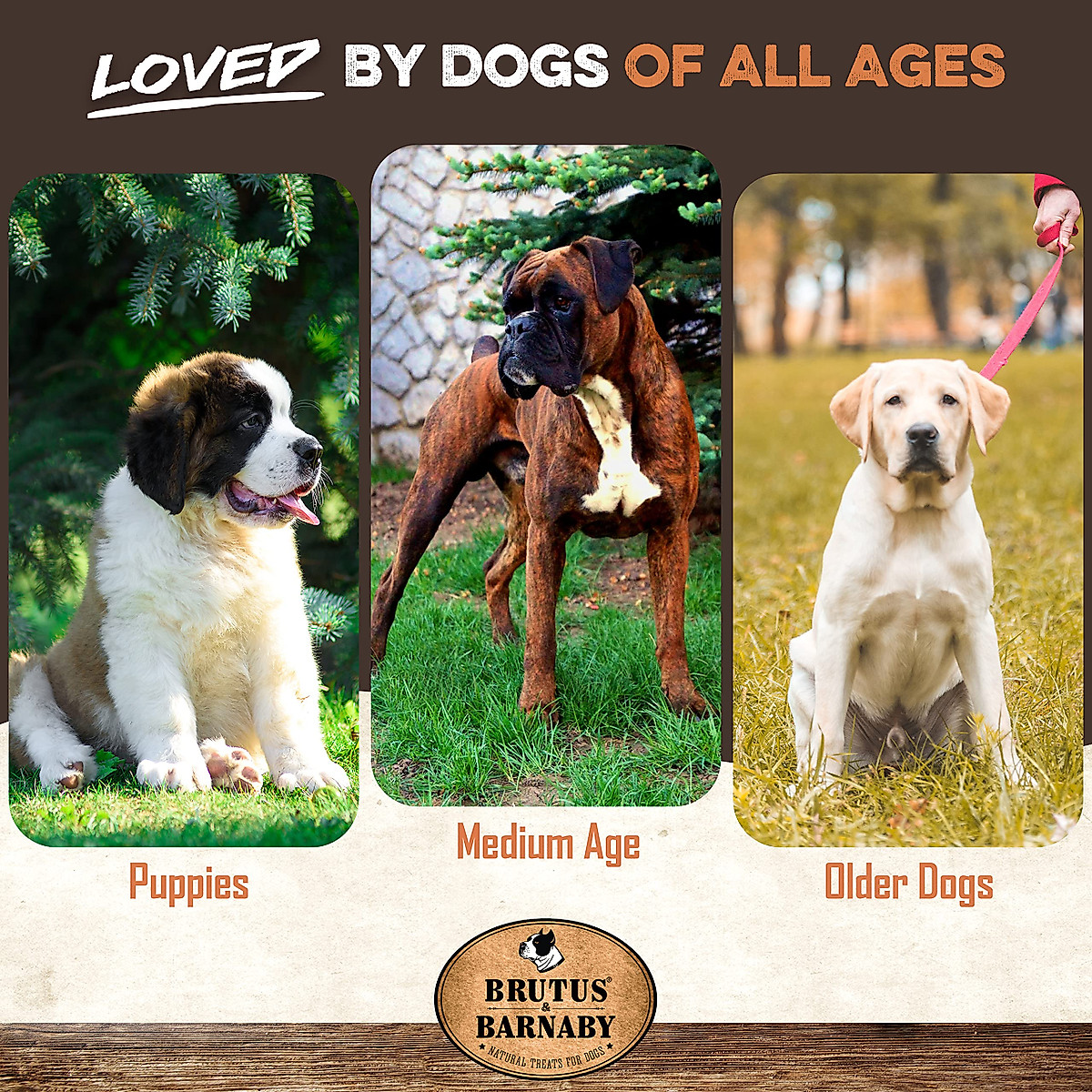 100% Natural Half Pig Ear Dog Treat, 15 pack, Our Healthy Dog Pig Ears Halves Are Easy To Digest, Chemical & Hormone Free Thick Cut Pig Ears For Dogs Aggressive Chewers, Great For Small Or Large Dogs