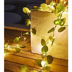 LED String Light Wedding Party Home Garden Bedroom Outdoor Indoor Wall Decorations(Solar String Lights) (Eucalyptus Copper Wire lamp, 6.5 Feet)