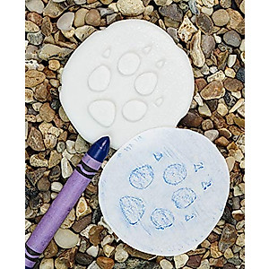 Yellow Door Let's Investigate Polar Footprints, Set of 8