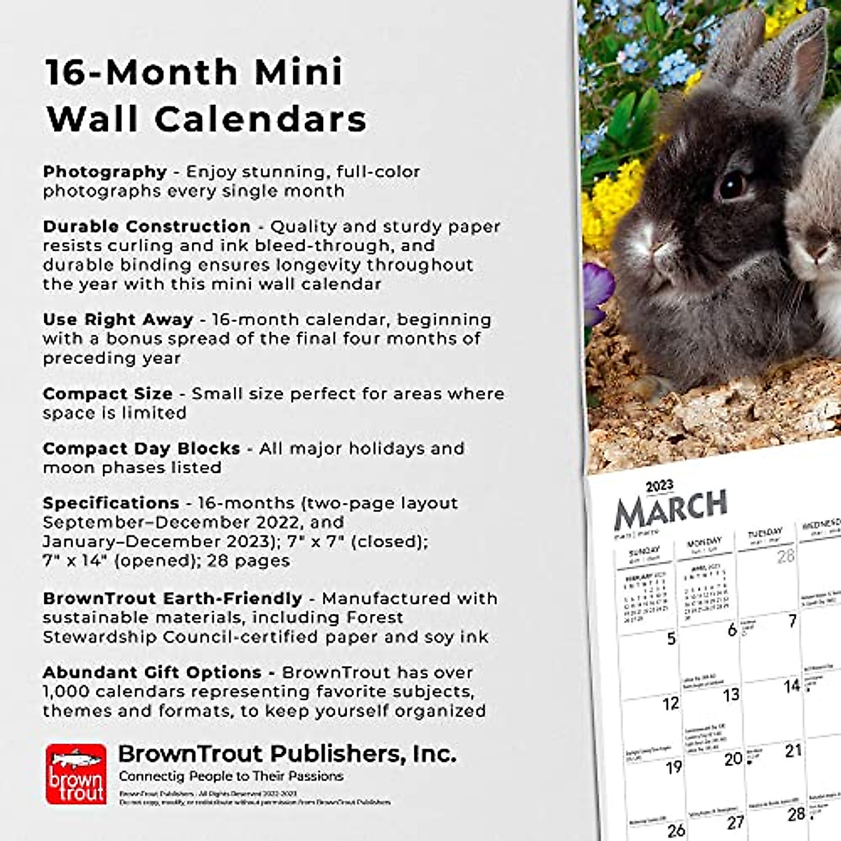 Honey Bunny | 2023 7 x 14 Inch Monthly Mini Wall Calendar | BrownTrout | Domestic Small Cute Animals