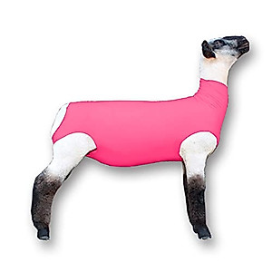 Show Pro Pink Spandex Lamb Tube for Show Sheep & Lamb - Show Livestock Supplies: Sheep Covers & Blankets (Medium)