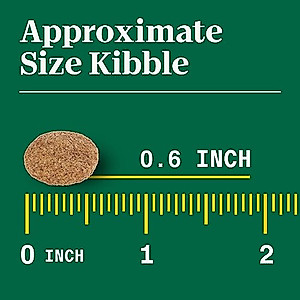 NUTRO NATURAL CHOICE Large Breed Adult Dry Dog Food, Lamb & Brown Rice Recipe, 40 lb. Bag